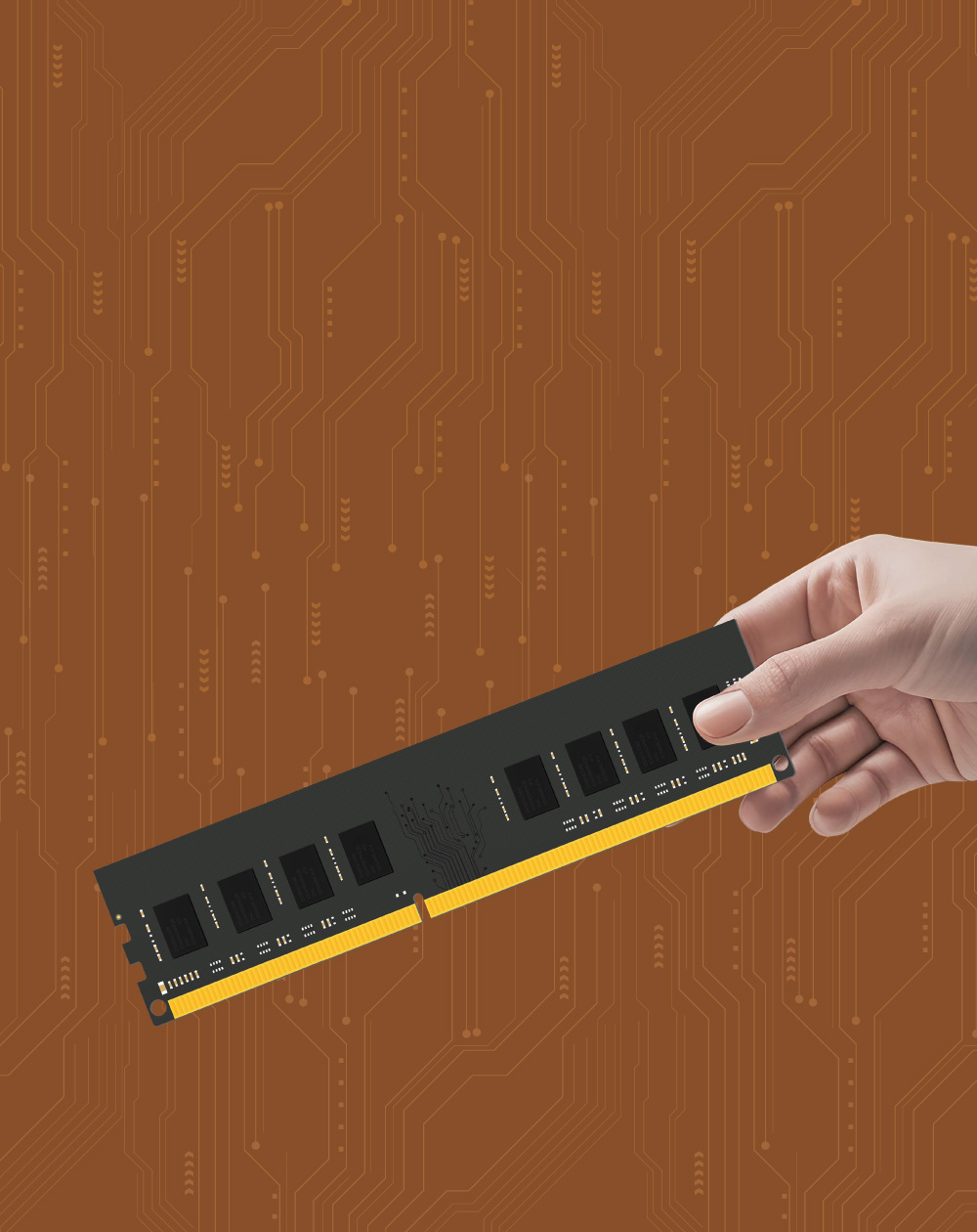 Memory Modules (RAM)